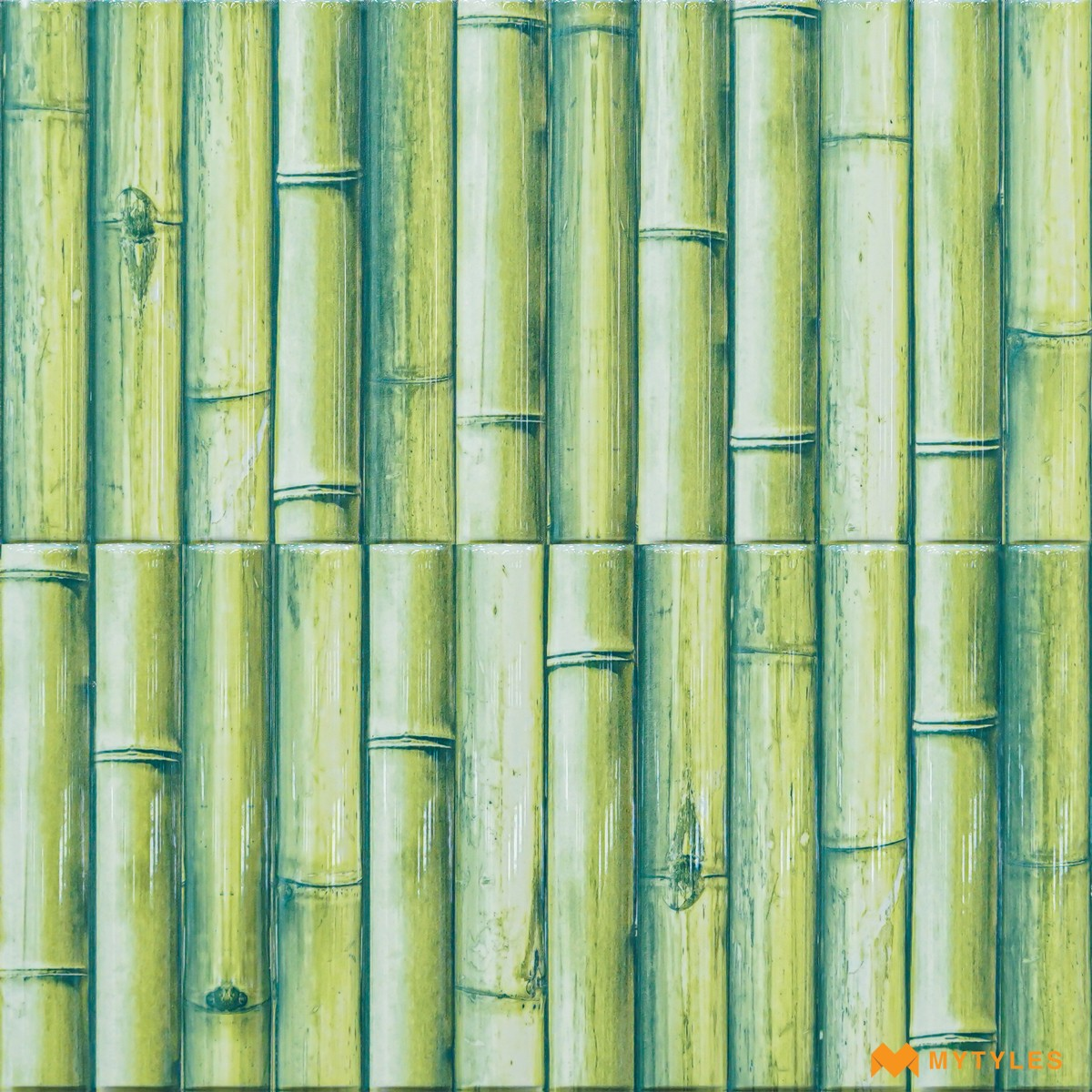 Buy 300x300 mm Green Bamboo Wall Tile at MyTyles